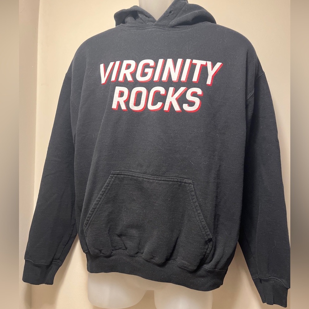 Virginity Rocks Danny Duncan Hoodie Mens Medium - Gem